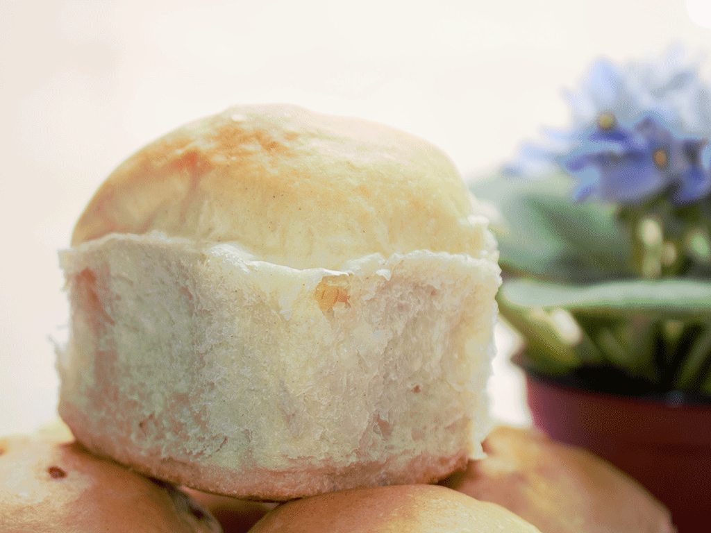 Pan de Cebolla - El lugar de Beatriz