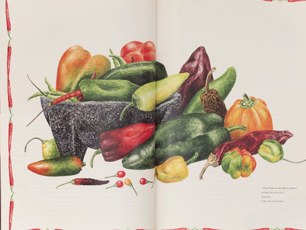 El Chile, Fruto Ancestral - El lugar de Beatriz